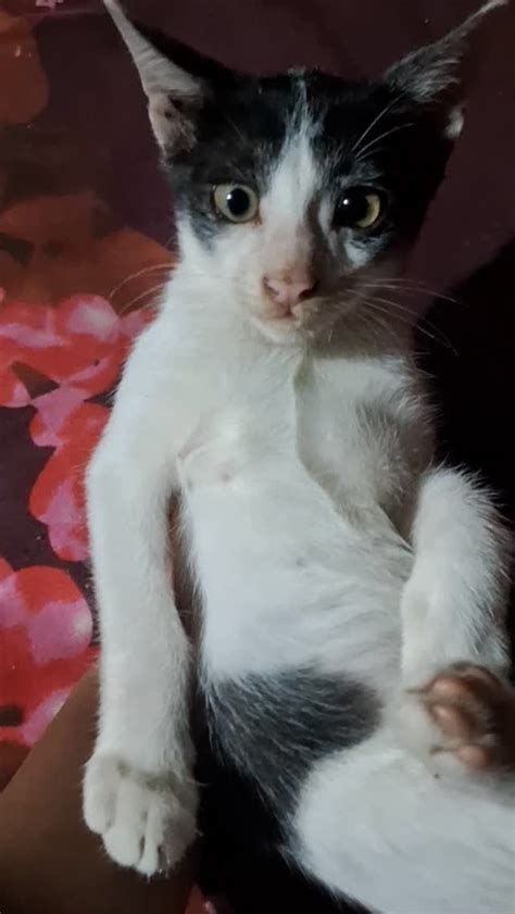 Scarzero Everything Scarzero13 • Instagram Photos And Videos