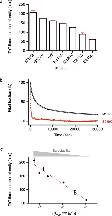 Tht Binding Capacities Of The Prp Fibrils Correlate With Their Download Scientific Diagram