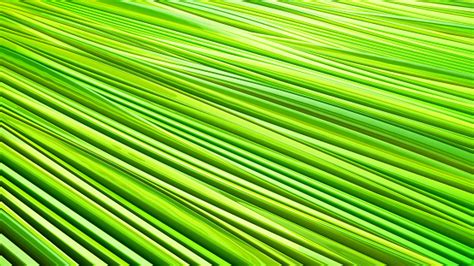 다채로운 줄무늬 추상적인 배경 뻗어 픽셀 효과 3d 렌더링 배경 3차원 형태에 대한 스톡 사진 및 기타 이미지 3차원 형태 개념과 주제 그라데이션 Istock