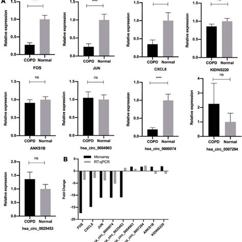 Validation Of Microarray Data By Rt Qpcr A Relative Expression Download Scientific Diagram