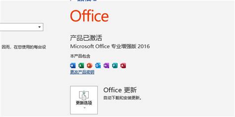 Word怎么查看版本号 360新知