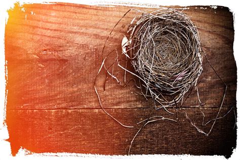 Becoming An Empty Nester Half Full And Overflowing Biblical Christian Woman Blog