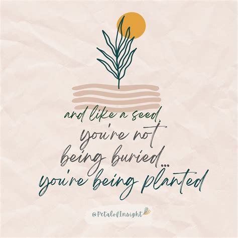 And Like A Seed Spiritual Growth Quotes Grace Quotes Growing Quotes