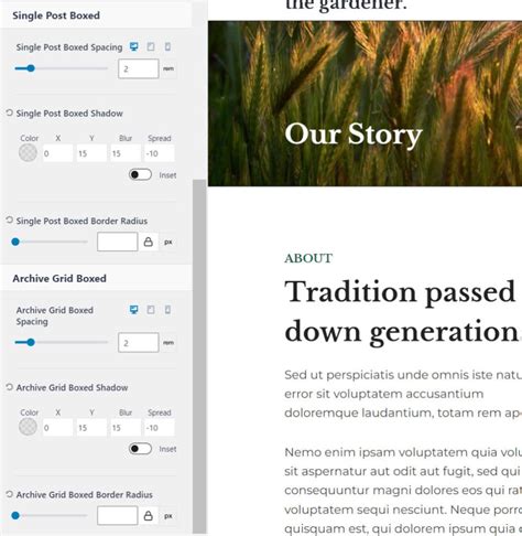 The Initial Setup Of The Kadence Theme The Layout Options Explained