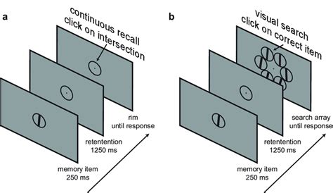 Experimental Design The Initial Stimulus Sequence Was Identical Only Download Scientific