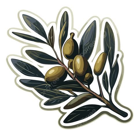 올리브 가지 스티커 일러스트 벡터 스티커 일러스트 벡터 일러스트 올리브 일러스트 Png 일러스트 및 벡터 에 대한 무료