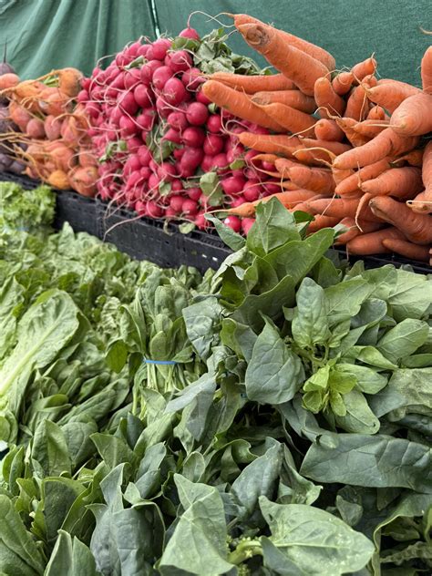 Vibrant Mermaid Jewels Alien Sex Facebook