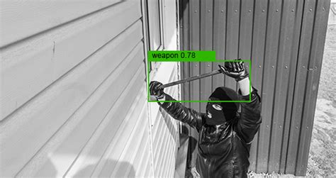 Gun And Weapons Detection Systems Swc