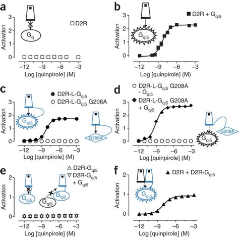 Functional Complementation Of Two Nonfunctional Receptors We Used An Download Scientific