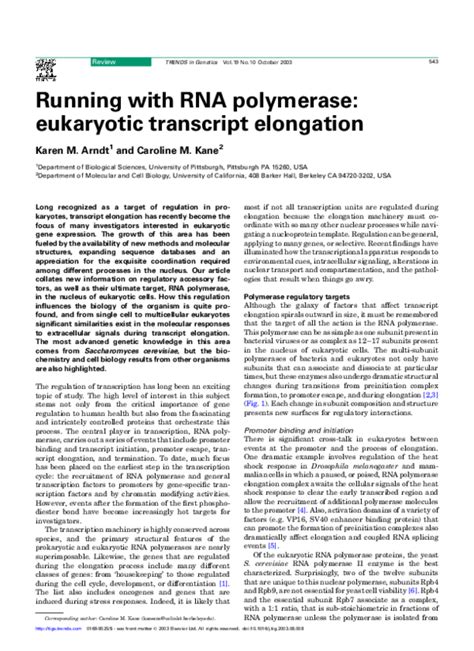 Pdf Running With Rna Polymerase Eukaryotic Transcript Elongation