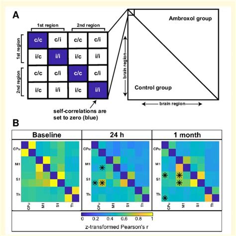 Resting State Functional Connectivity Between The Groups In Motor