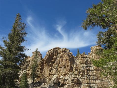 Pct Section Hike Kennedy Meadows To Crabtree Meadows Part Of