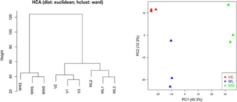 Hierarchical Clustering Analysis Hca And Principal Component Analysis Download Scientific