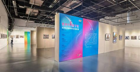 第13届海峡两岸暨港澳地区艺术论坛关注“女性艺术与艺术女性”腾讯新闻