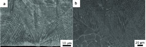 Dendritic Microstructure Of The Co 81 2 Cu 18 8 Sample Undercooled To T Download Scientific