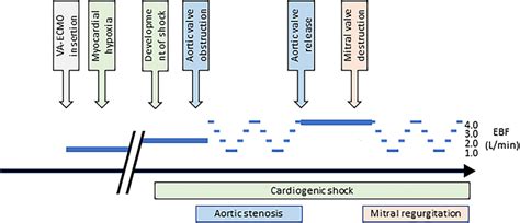 Schematic Illustration Of The Experimental Protocol Va Ecmo Download Scientific Diagram