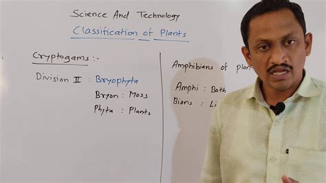 Classification Of Plants Youtube