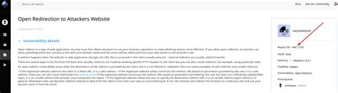 Report Id Hackenproof Docs