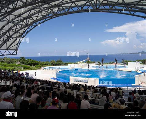 Okinawa Churaumi Aquarium Japan Stockfotos Und Bilder Kaufen Alamy