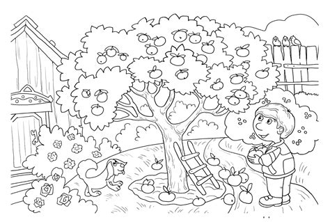 Сад раскраска для детей 31 фото