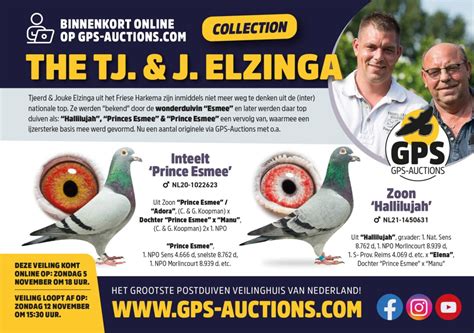 The Tj And J Elzinga Collection Gps Auctions