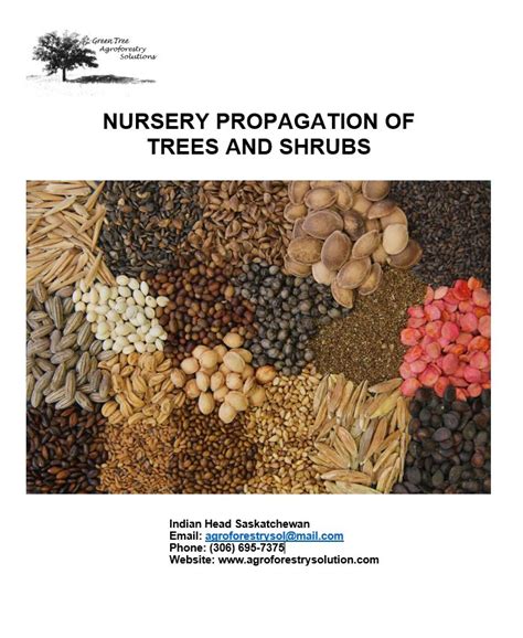 Propagation Of Trees And Shrubs Manual Greentree Agroforestry Solutions