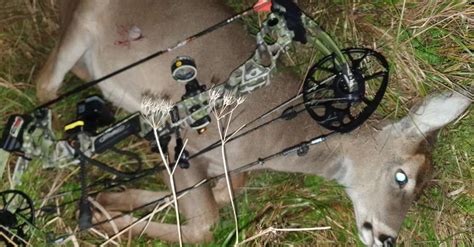 Badger Hunting Trips