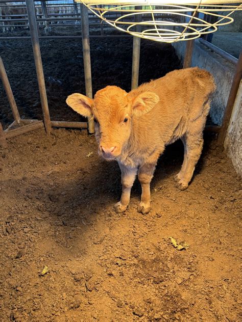 내가 제공한 포도로 주식 에펨코리아