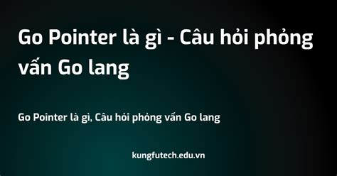 Go Pointer Là Gì Câu Hỏi Phỏng Vấn Go Lang