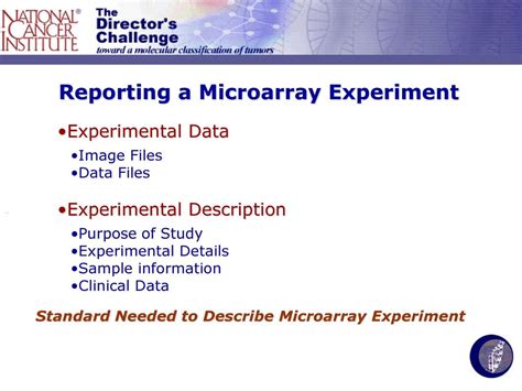 Directors Challenge It Overview Ppt Download