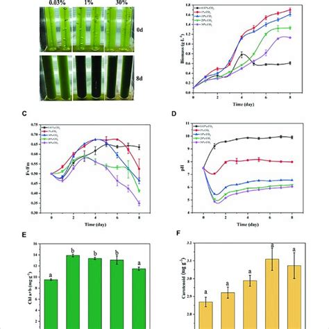 Physiological Parameters Related To Growth Status In Microalgae Exposed Download Scientific