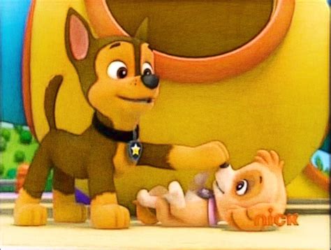 Skye And Chase Skye And Chase Paw Patrol Fan Art Fanpop