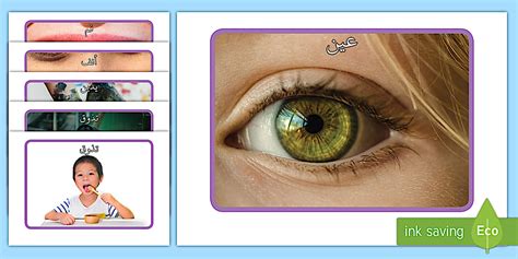 صور الحواس الخمس للأطفال الحواس الخمسة درس الحواس