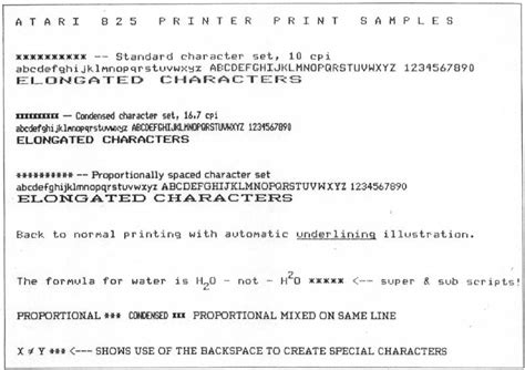 Review The Atari 825 Printer