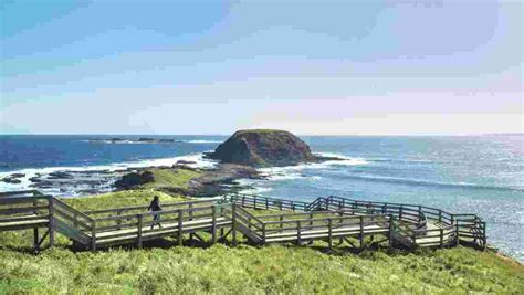 그레이트 오션 로드 12사도 바위 소버린 힐 필립 아일랜드 퍼핑 빌리 증기기관차 5일 투어 공항 이동스타 호텔둥지으로 돌아가는 펭귄 관찰