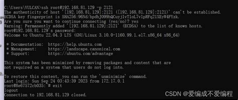 两种方法完成建立镜像并安装容器配置ssh 手动与dockerfile 容器安装ssh csdn博客