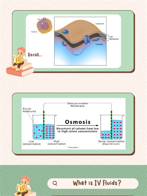 A Comprehensive Guide To Crystalloid And Colloid Intravenous Fluid Solutions Their Types Uses