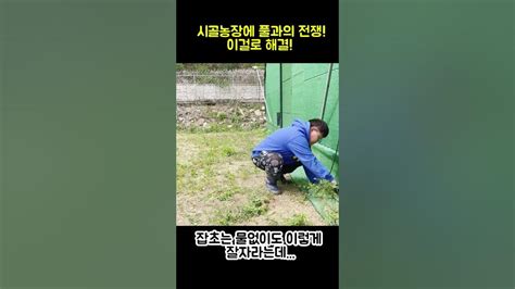 시골농장에서 끝나지 않는 풀과전쟁 이걸로 해결 Shorts 잡초제거 제초작업 잡초매트 제초매트 Youtube