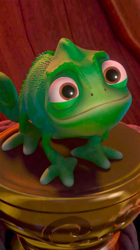 Pascal Tangled Funny