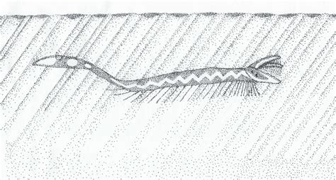 Nasas Recent Discovery On Mars Hints At Ancient Life On Marss Surface Video R Mars