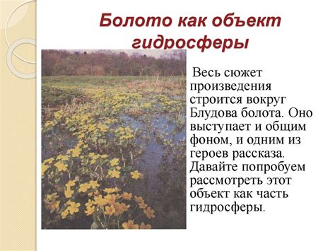 Природа в сказке были М М Пришвина «Кладовая солнца презентация онлайн