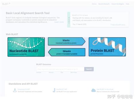 Ncbi中blast的快速入门 知乎