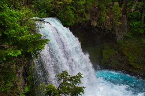 Mckenzie River Kossah And Sahalie Falls To Clear Lake Loop Hike Image