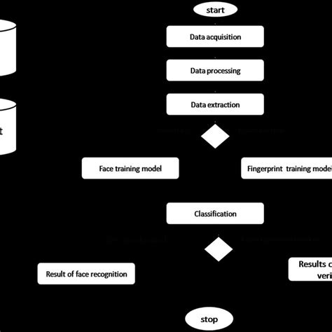 The Complete System Activity Flow Chart Mode Download Scientific Diagram