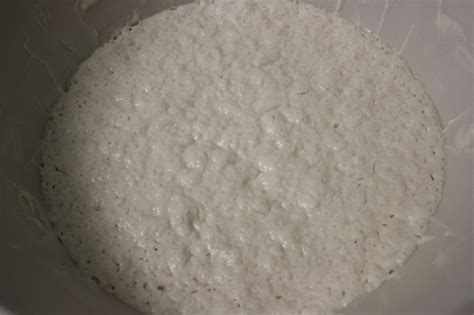 Graham Bread Revolutionary Pie