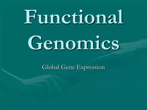 Ppt Functional Genomics Powerpoint Presentation Free Download Id 5023752