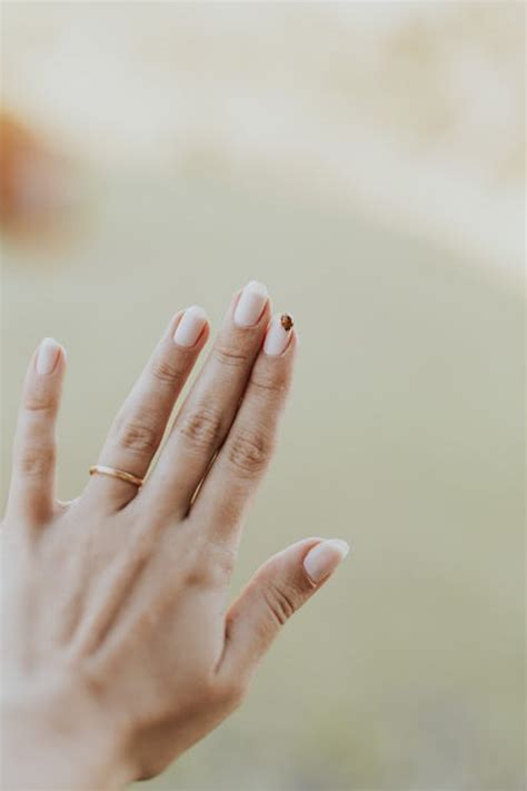 손톱 위에 무당벌레가 있는 손의 클로즈업 · 무료 스톡 사진