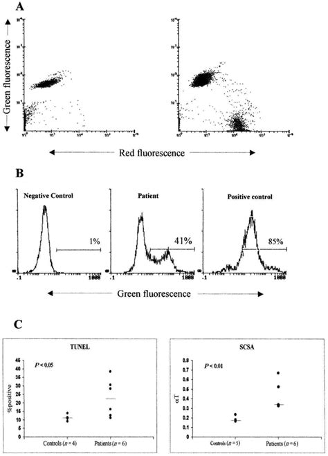 A Representative Flow Cytometric Dot Plots And Green Fluorescence