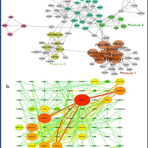A Clustering Of Interactome Into Modules Using Mcode Note That All Download Scientific