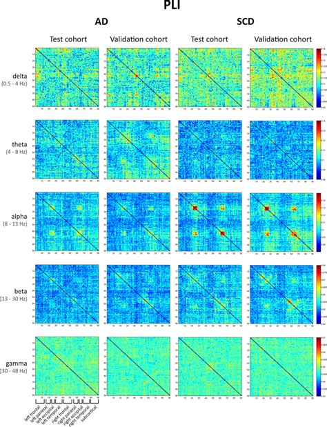 Connectivity Matrices PLI Connectivity Matrices Averaged Across All Download Scientific